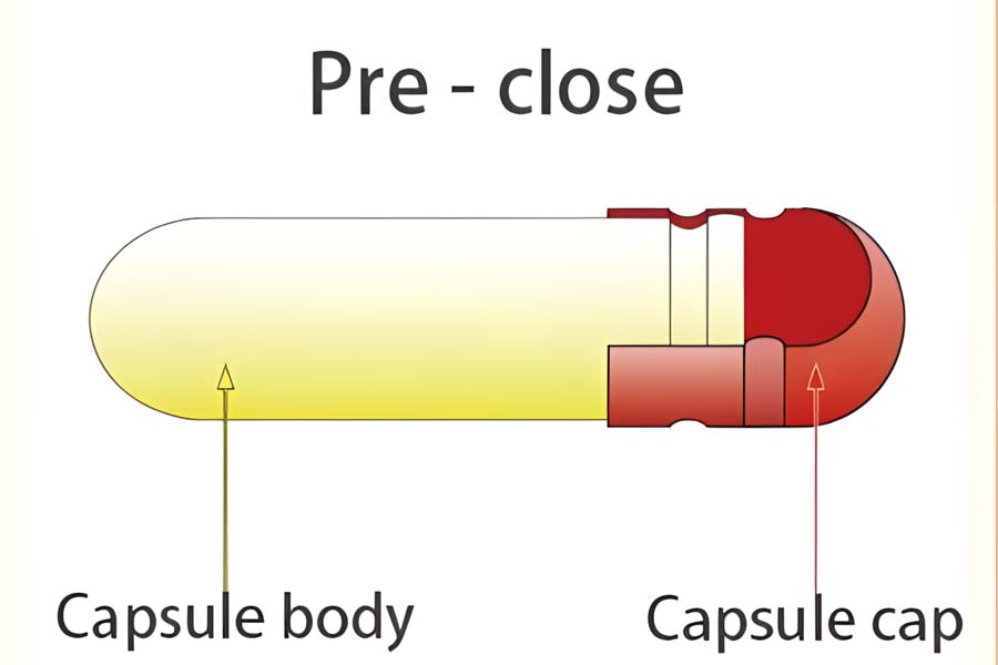 Capsule Filling Tray vs Capsule Machine: Which Is Best for Home and ...
